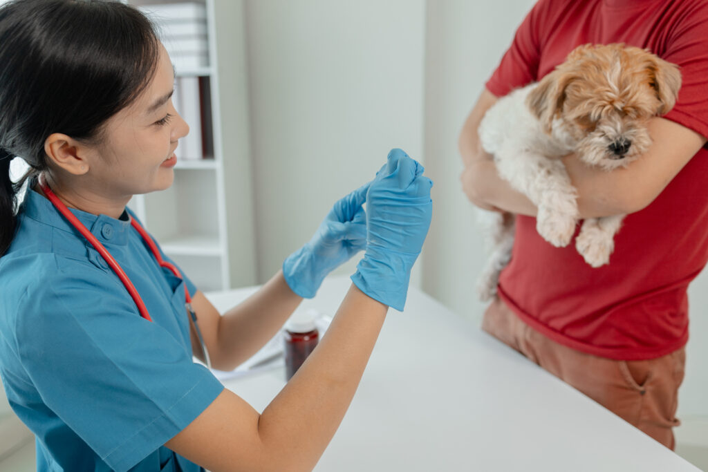 Parvo awareness: protecting dogs, cats, and veterinary clinics - ZYTCA ...